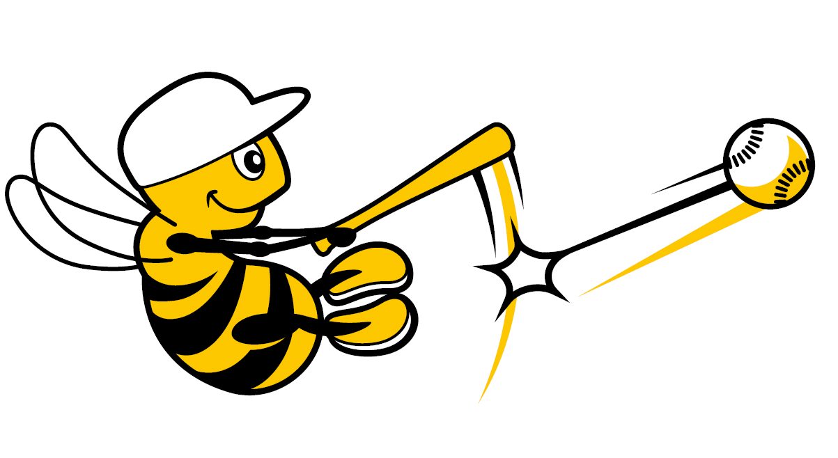 Kennismaken met Beeball?